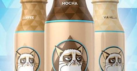 Владельцы сердитого котика Grumpy выпустят напиток Grumppuccino | podrobnosti.ua